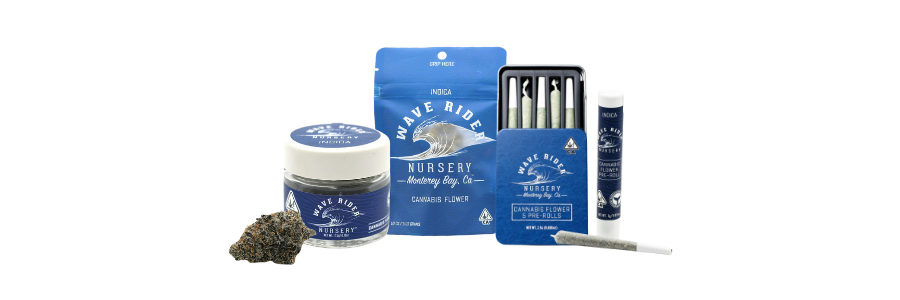 Discover Wave Rider Nursery: Brand Highlights & Where to Buy in San ...